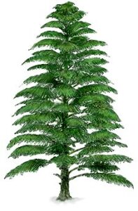 Hitos de la historia de la vida - Apuntes Filosóficos