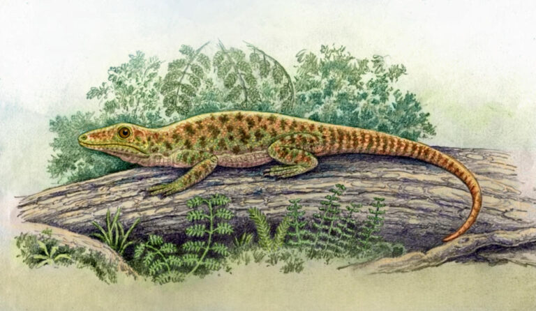 Hitos de la historia de la vida - Apuntes Filosóficos